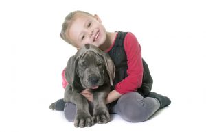 Verstehen sich Deutsche Doggen gut mit Kindern? – Tatzen und Pfoten